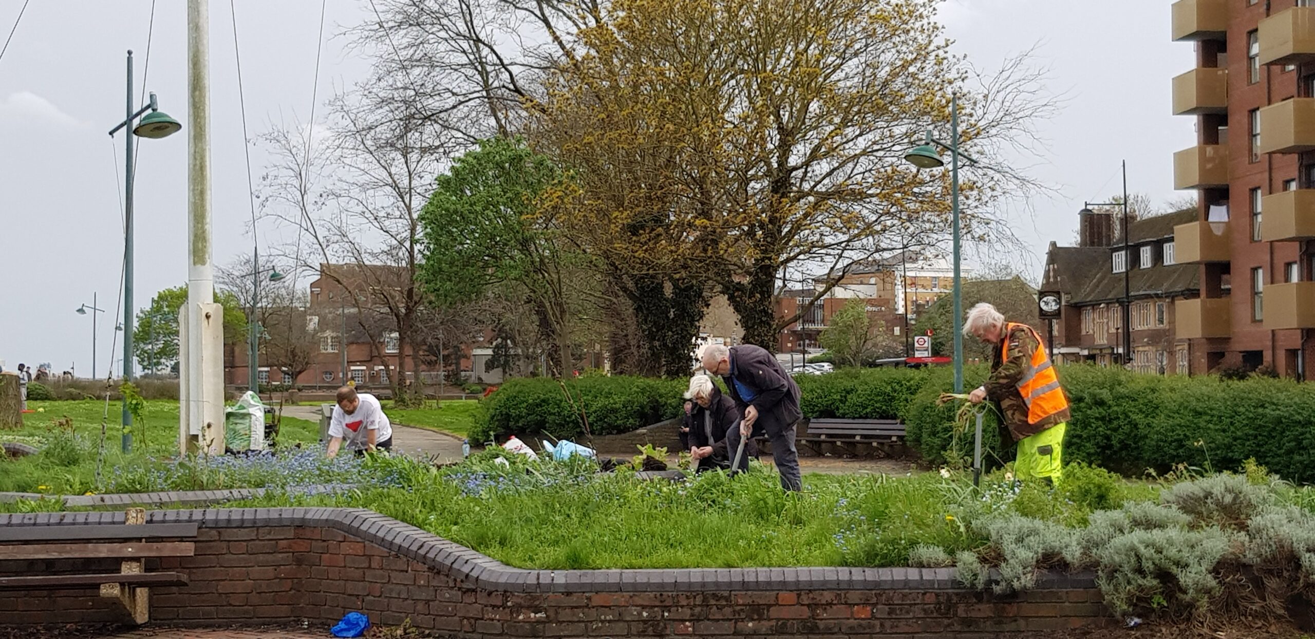Riverside Gardens: Where have the plants gone? - Greater Erith
